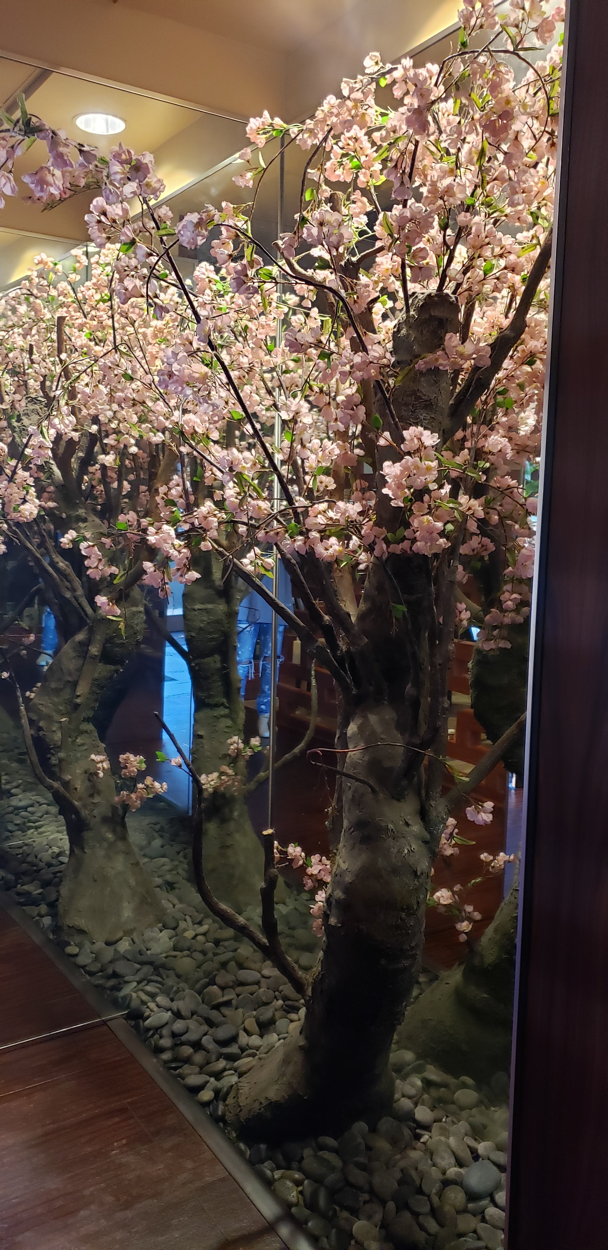 Sunday Unlimited Lunch at Dragonfly Robata Grill & Sushi – Nakanari